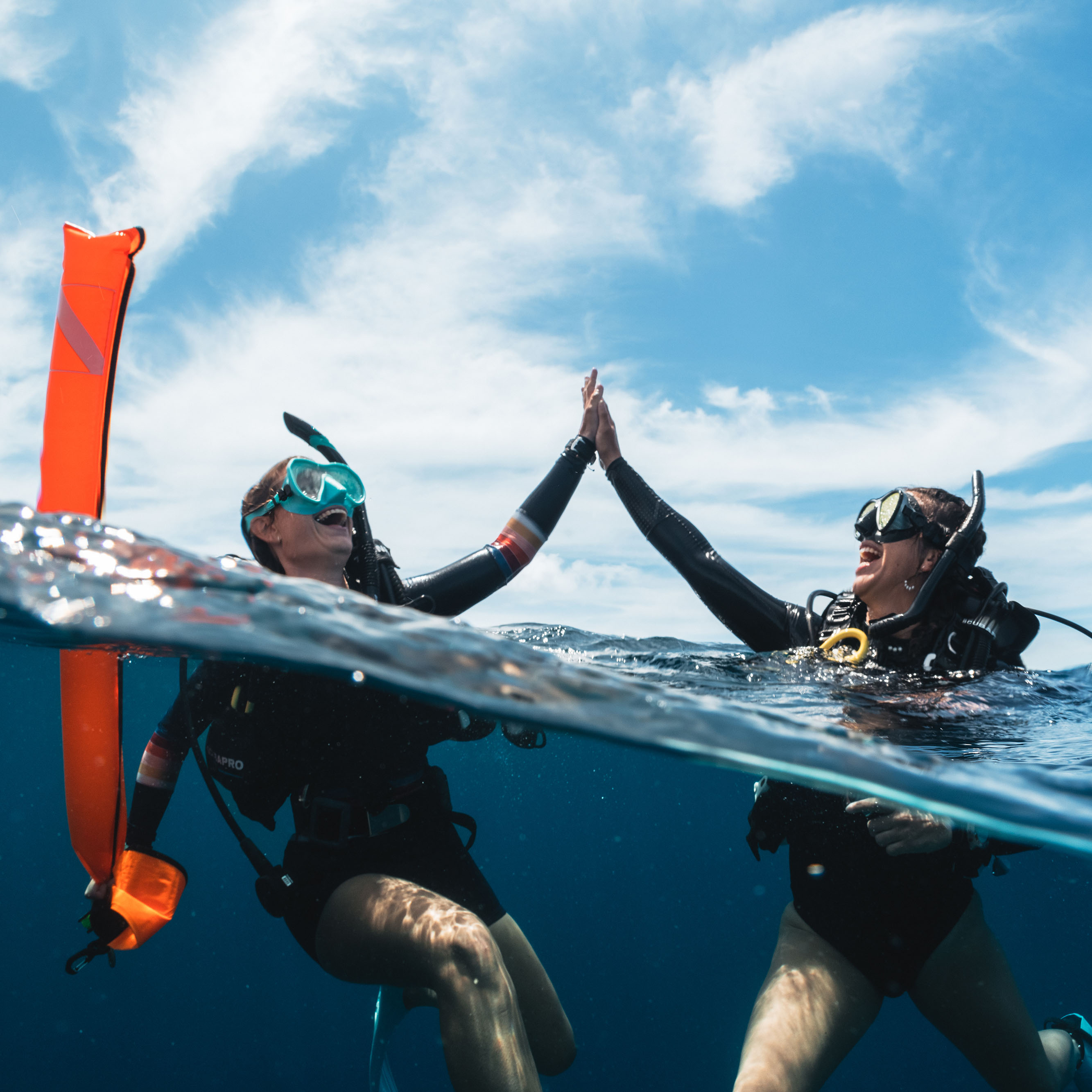 PADI Scuba Diving Courses with Dive HQ Christchurch, Scuba Diving and ...